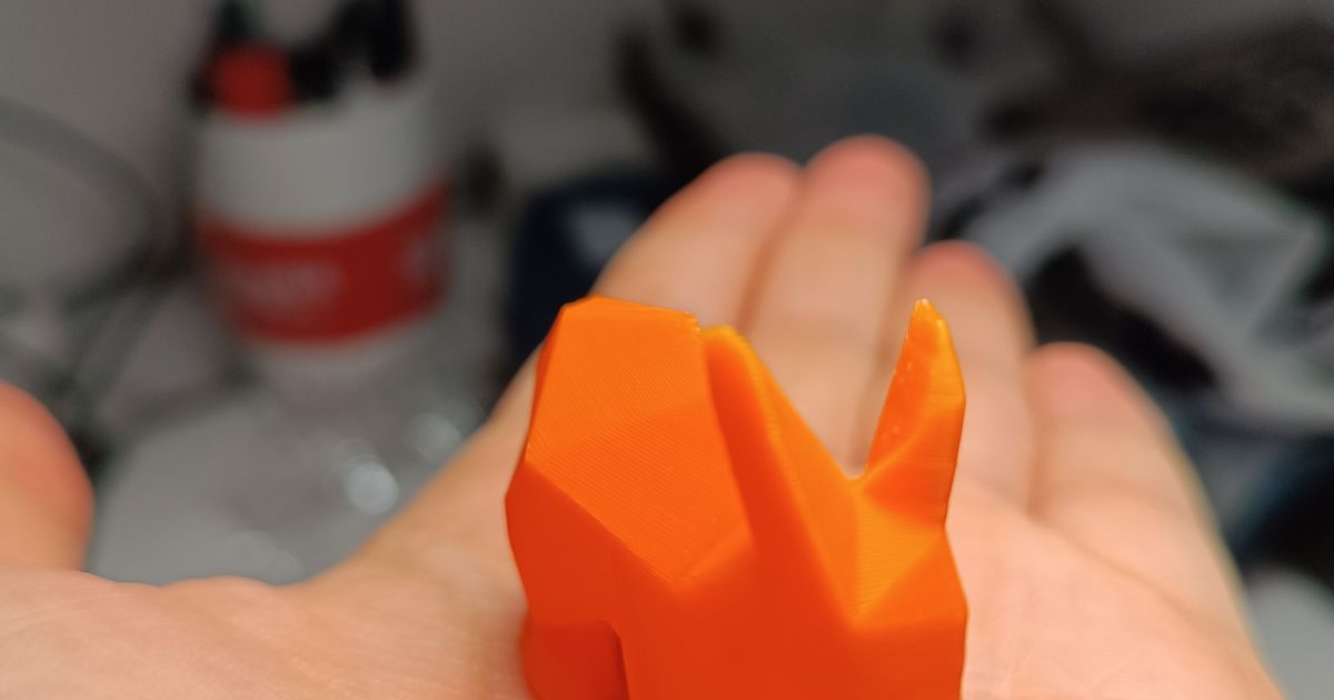 Poly Rabbit by Valeria Momo & Mattia | Download free STL model ...