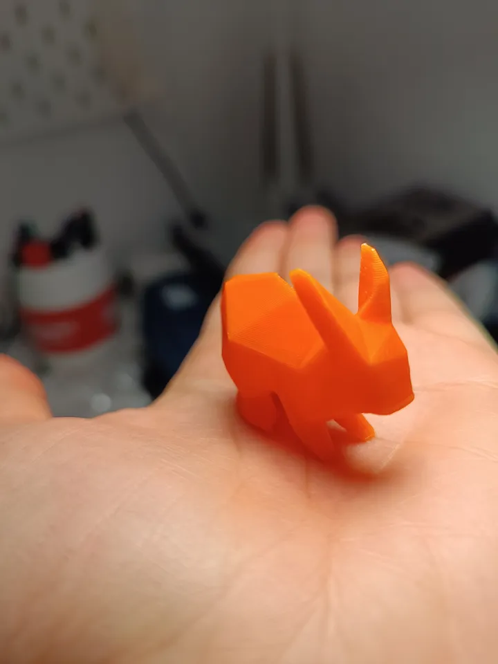 Poly Rabbit by Valeria Momo & Mattia | Download free STL model ...