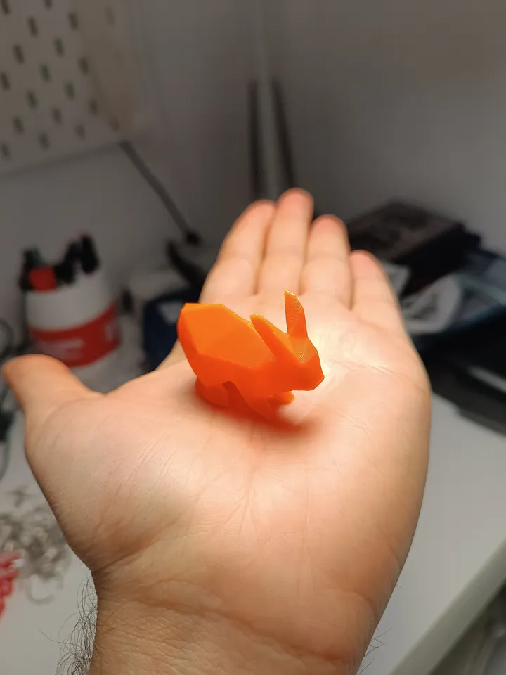 Poly Rabbit by Valeria Momo & Mattia | Download free STL model ...