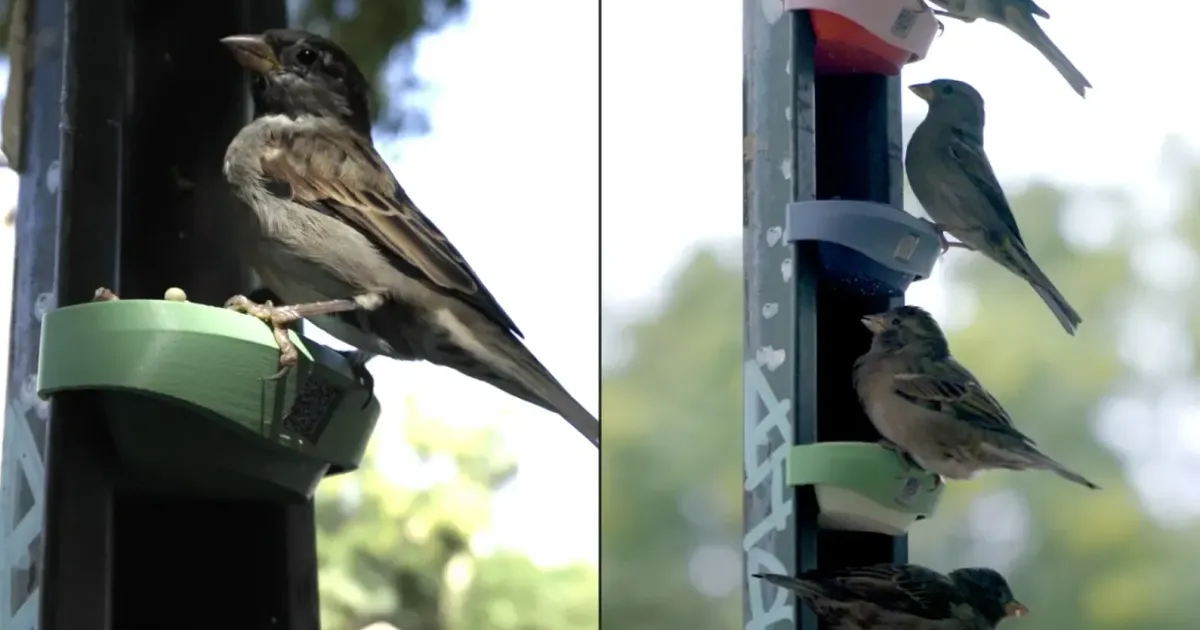 3DFiti Bird Feeder Simplified by DoneForAiur | Download free STL model ...