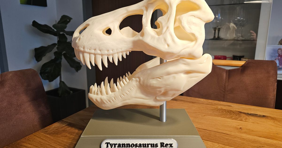 T - Rex Kopf Basis by MarioF | Download free STL model | Printables.com