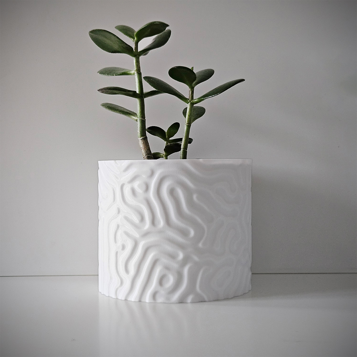 The BIG Brain Planter by NEWSTREAM | Download free STL model ...