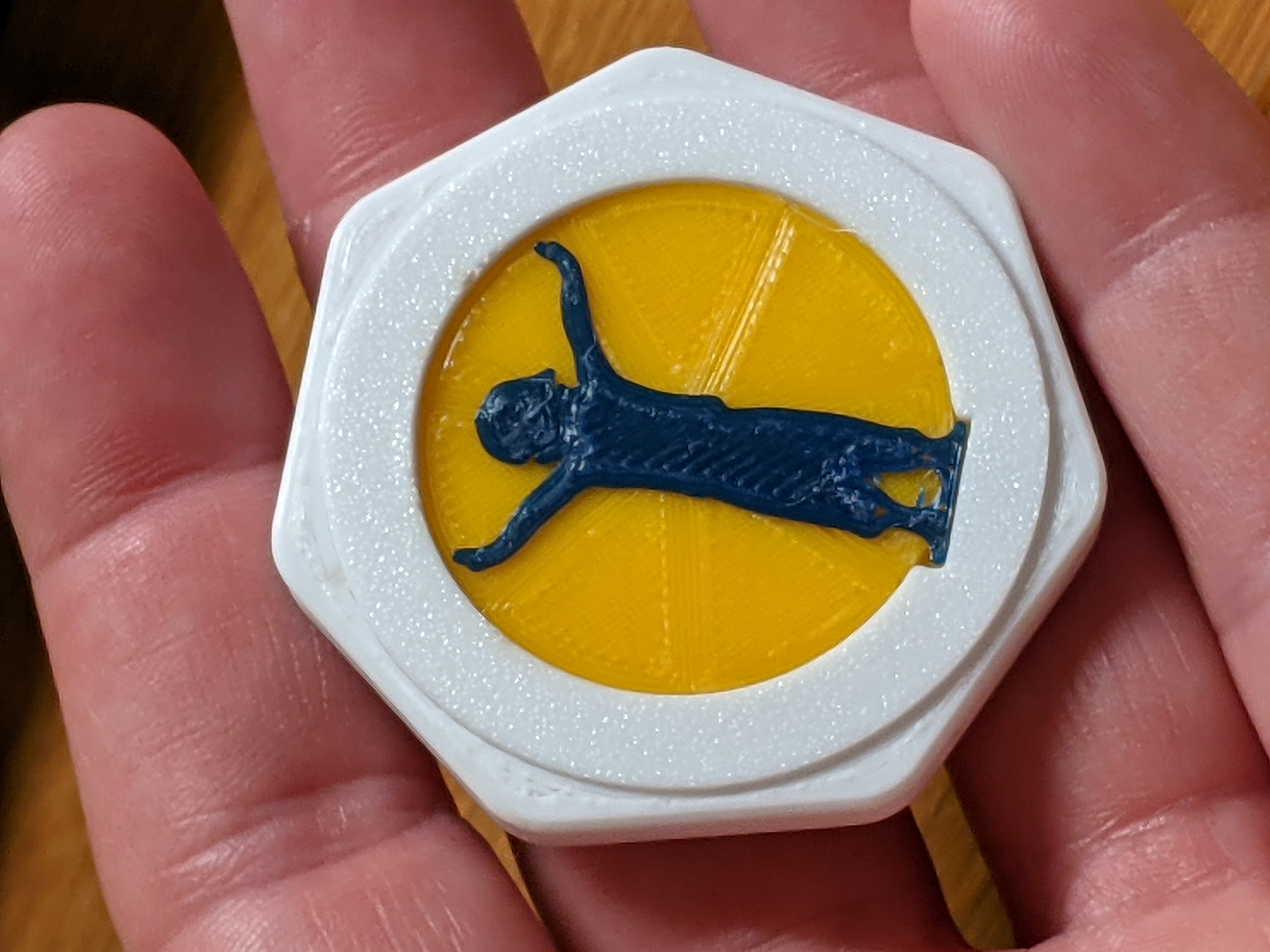 The EVAN Foundation Challenge Coin by DaveOfThings | Download free STL ...