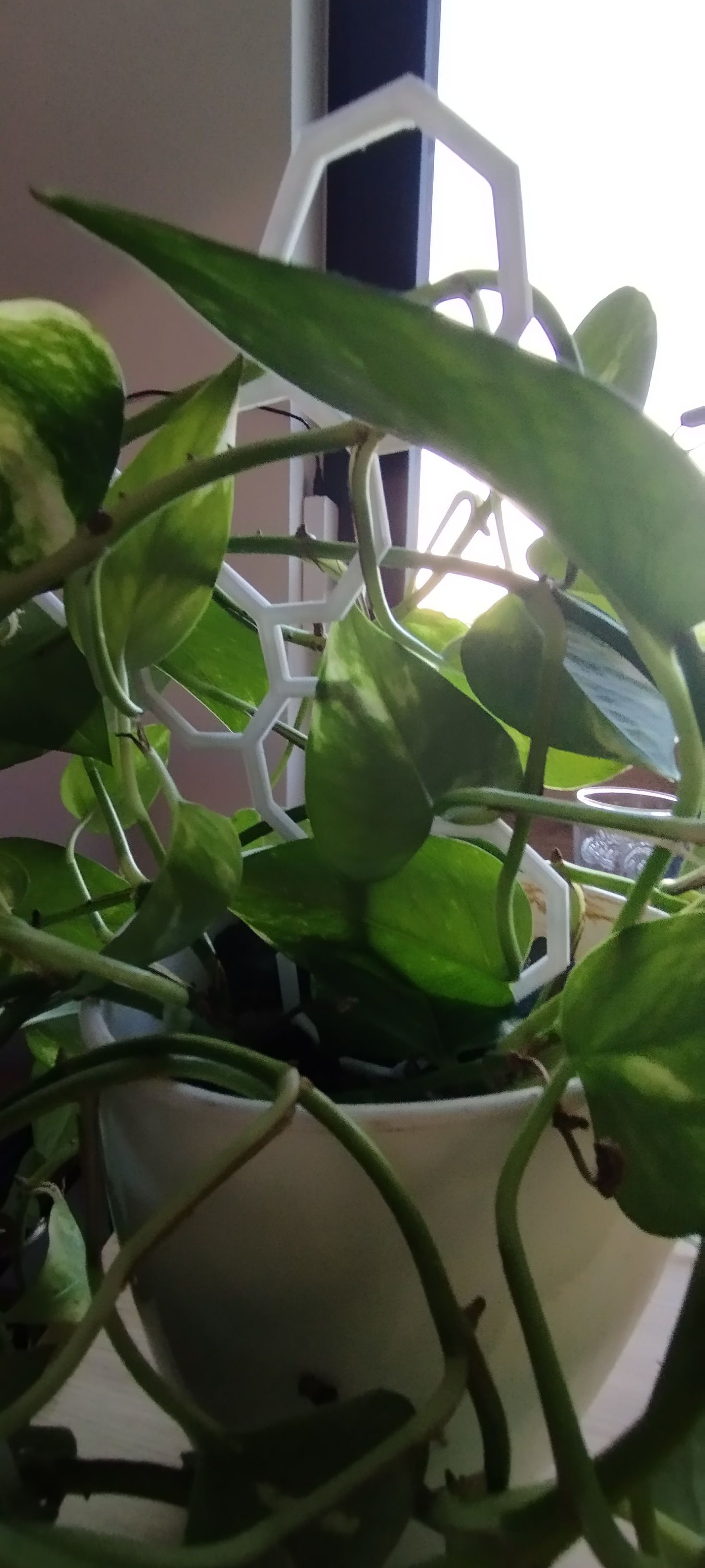 Stand for climbing plants by dominos | Download free STL model ...