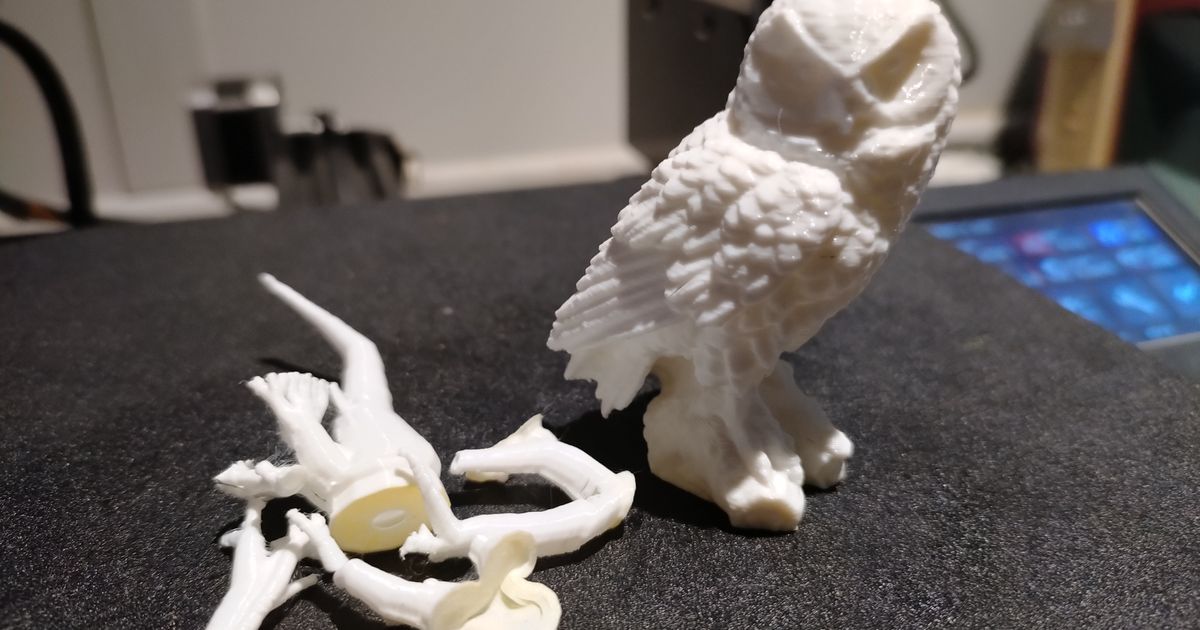 Snowy Owl (3D Scan) von StormTimber | Kostenloses STL-Modell ...