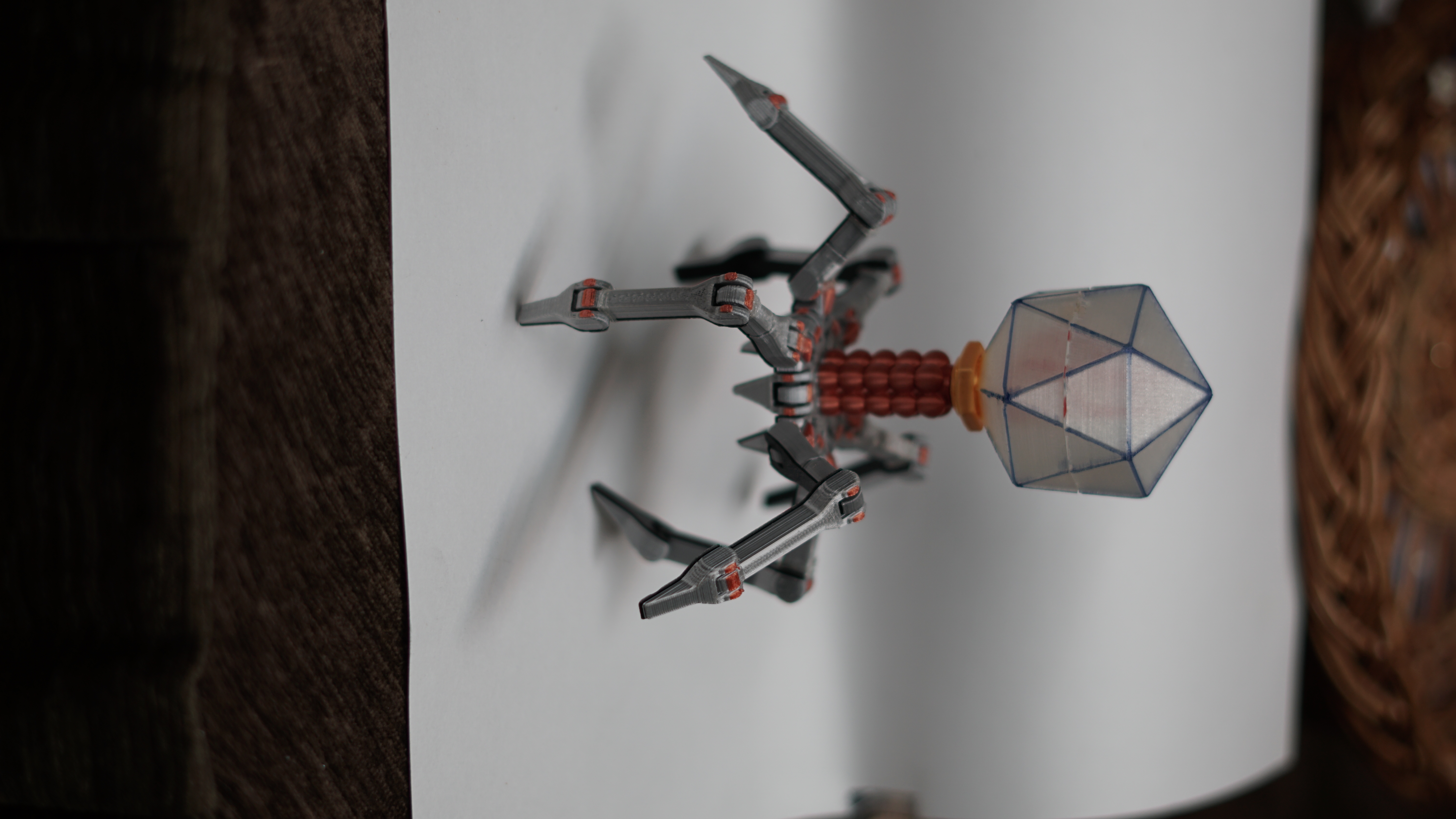 Cute Printed in Place Support Free Flexi Bacteriophage T4 von Mi ...