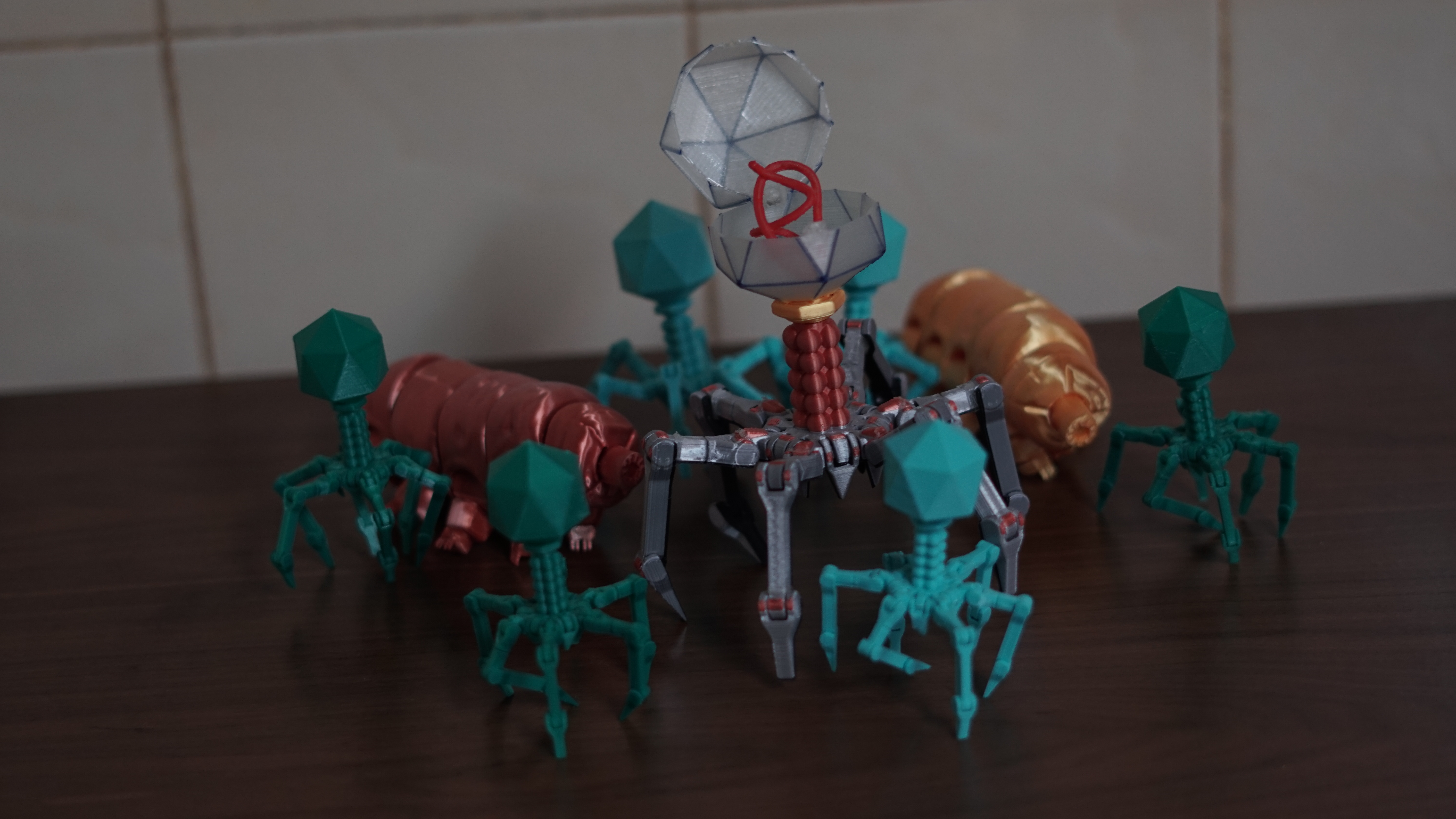 Cute Printed in Place Support Free Flexi Bacteriophage T4 von Mi ...