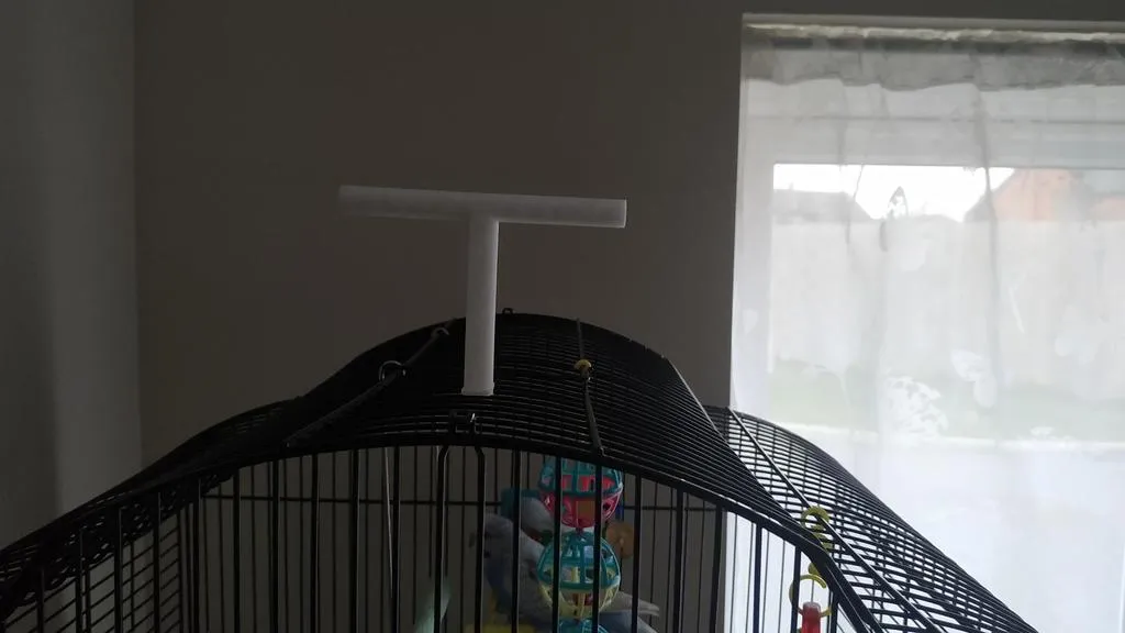 Parrot stand by Ron Mexico | Download free STL model | Printables.com