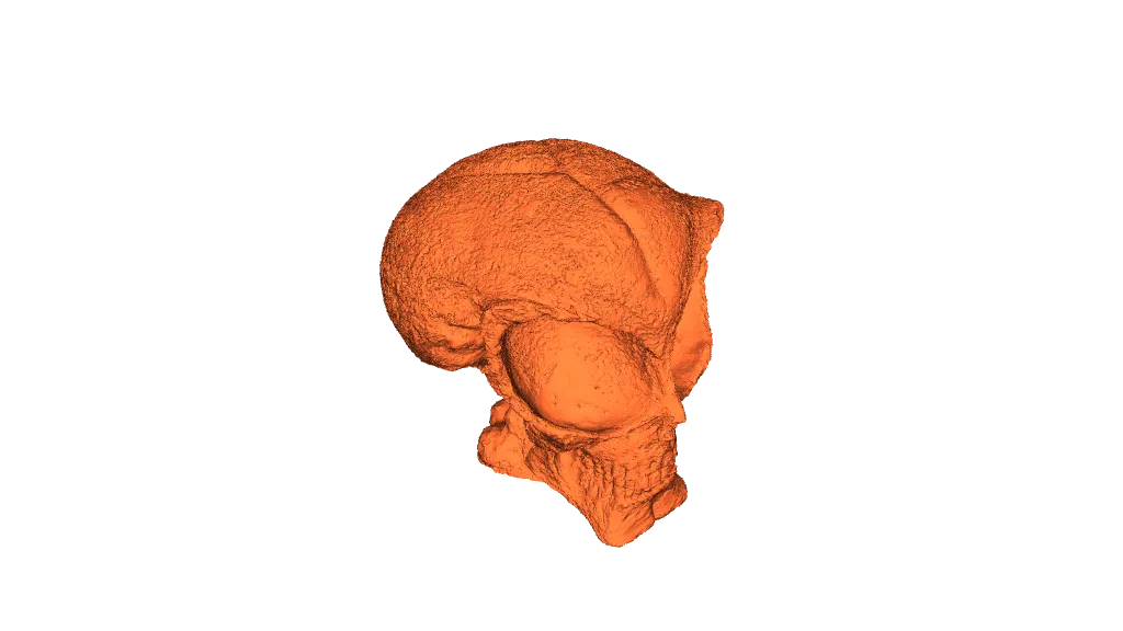 Alien Skull by Peter Farell | Download free STL model | Printables.com