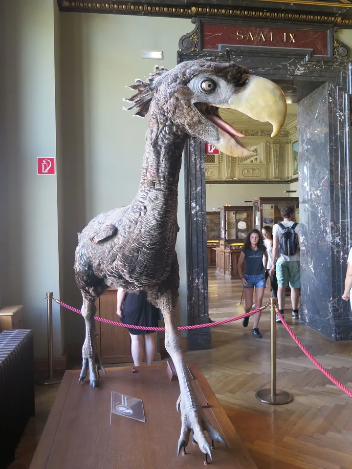 natural history museum printables