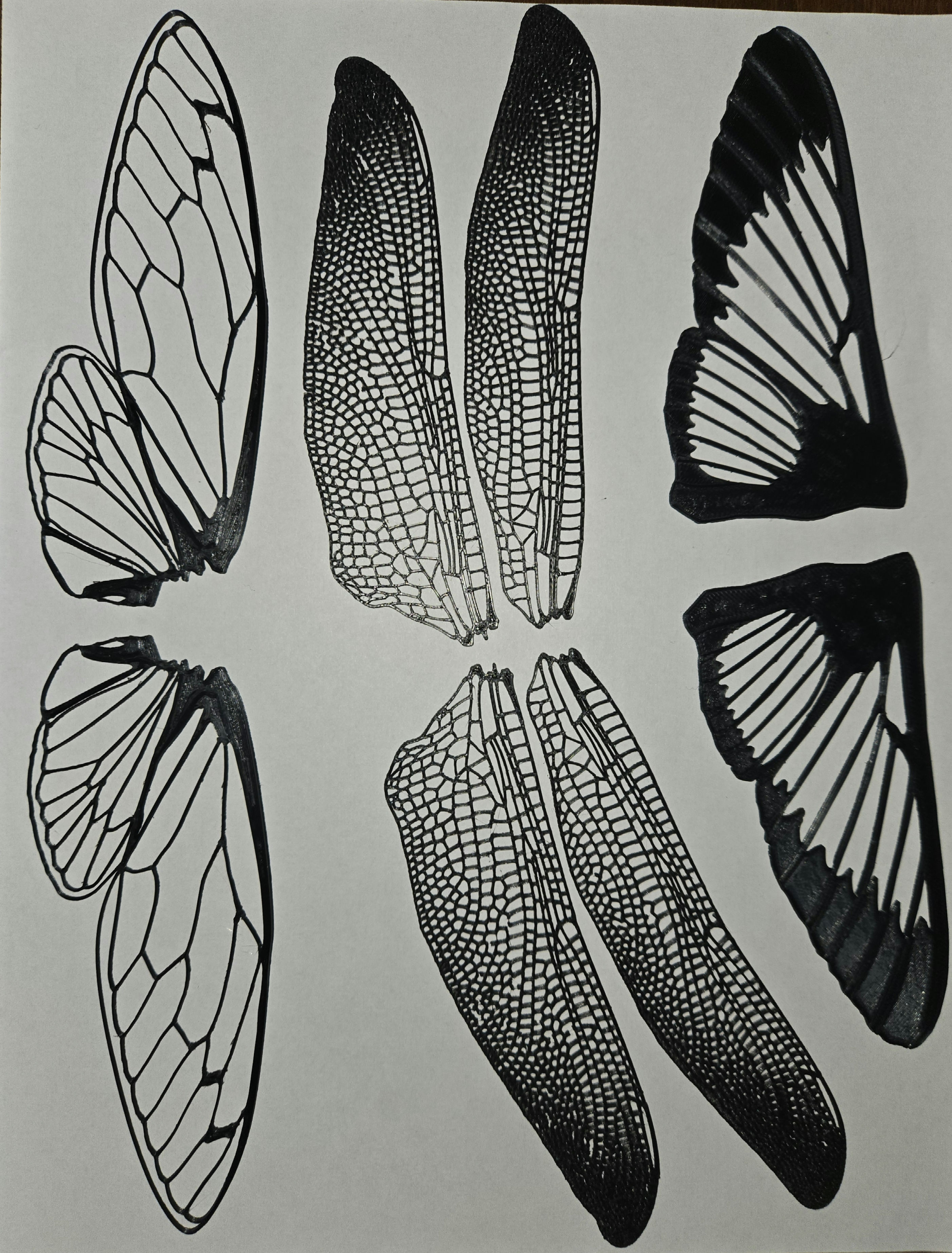 Realistic cicada wings by SuturedUser | Download free STL model ...