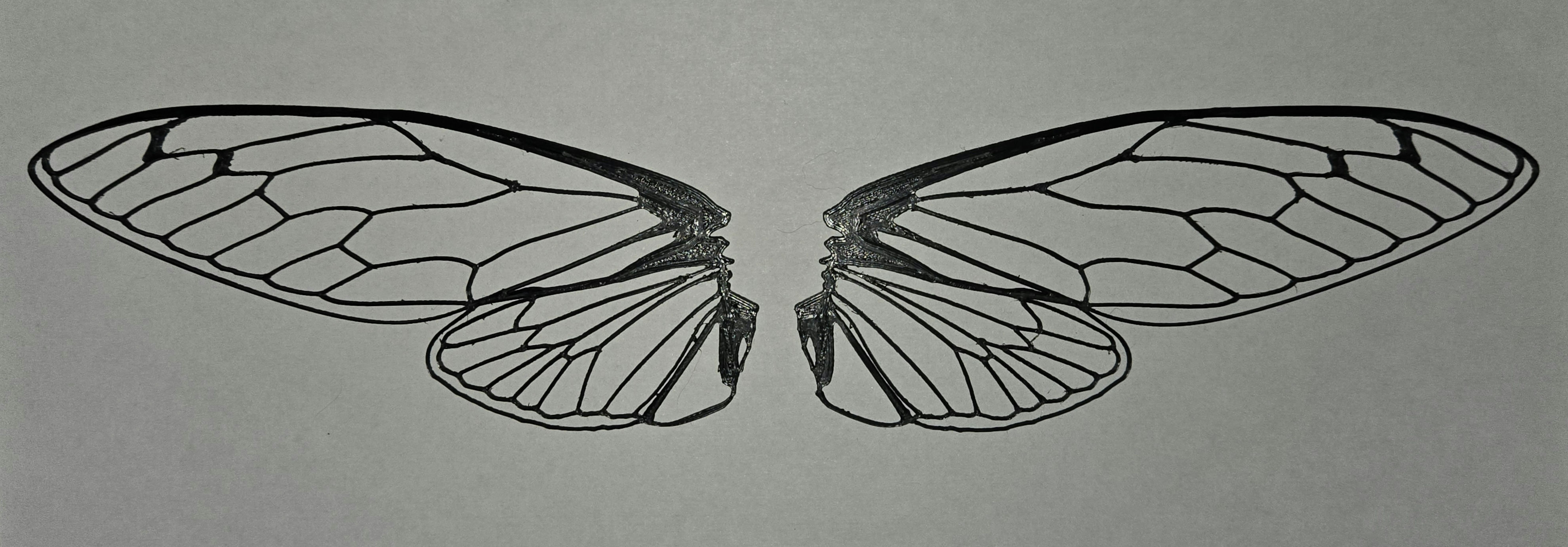 Realistic cicada wings by SuturedUser | Download free STL model ...