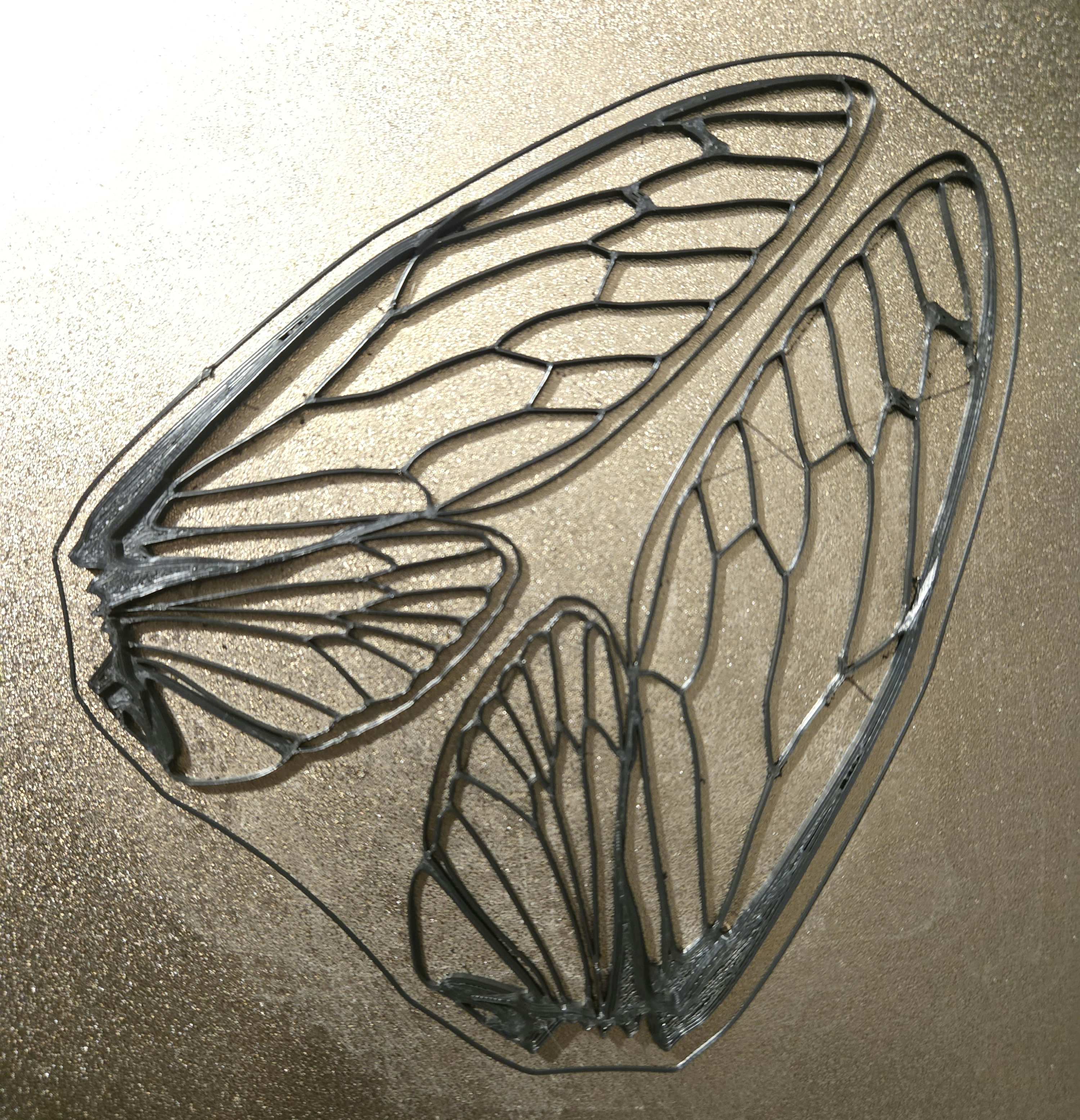 Realistic cicada wings by SuturedUser | Download free STL model ...