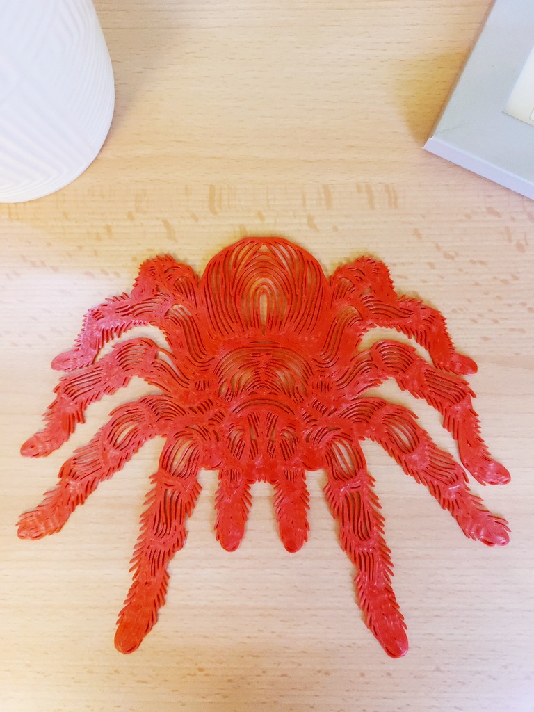 Tarantula / Tarantule wall decoration by kutnohormac | Download free ...