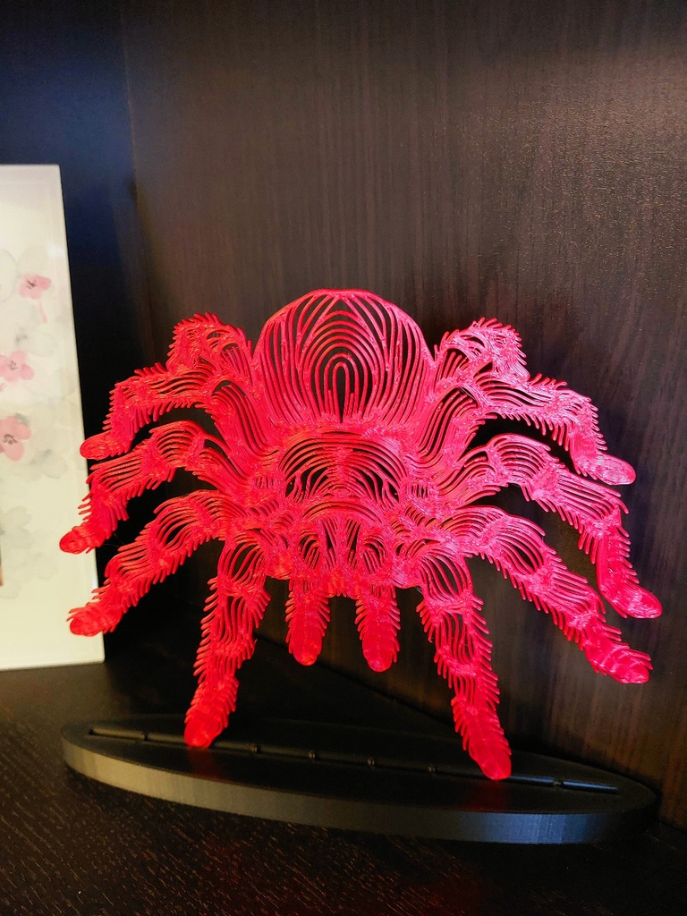 Tarantula / Tarantule wall decoration by kutnohormac | Download free ...
