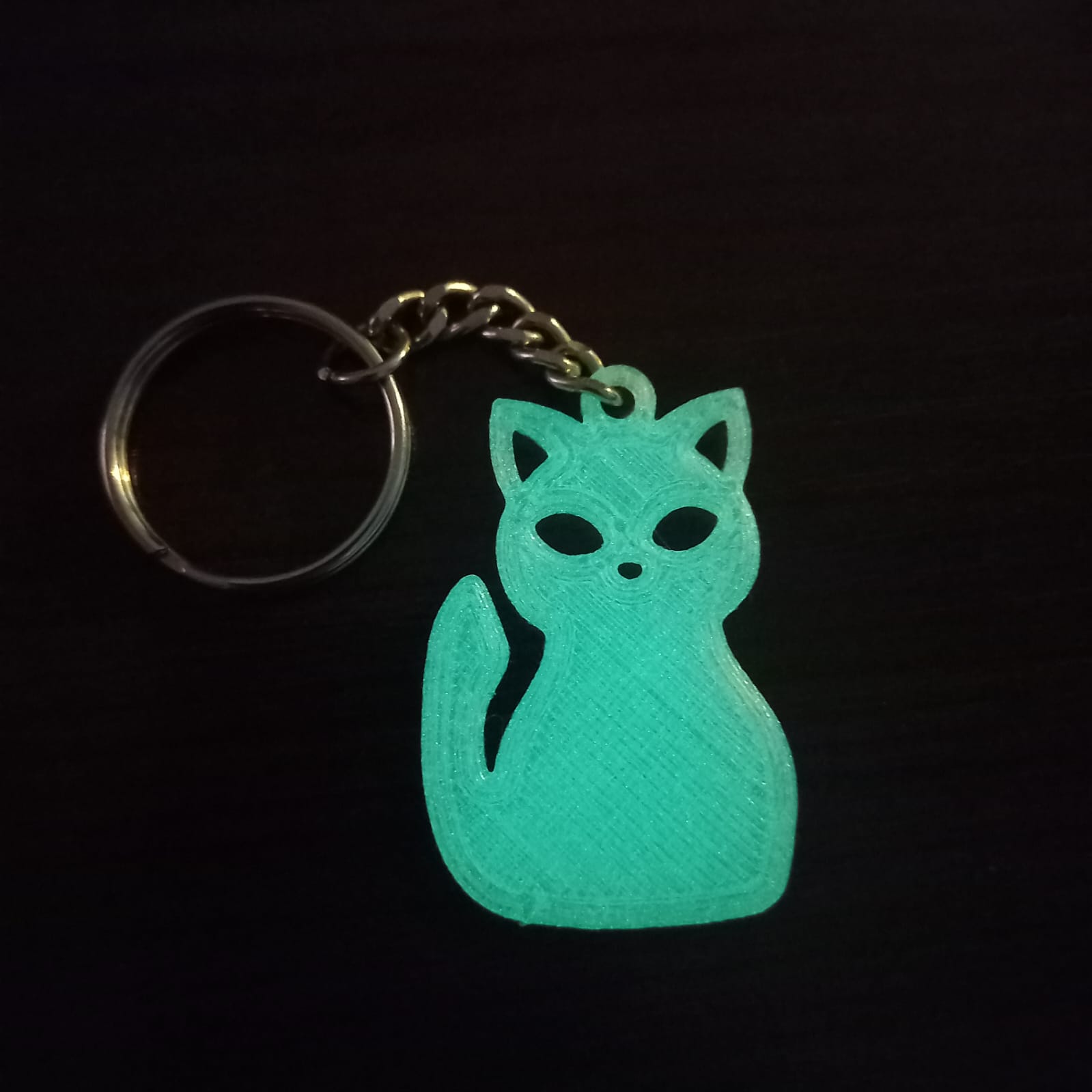 Luminescent cat keychain by leonardocatuzo | Download free STL model ...