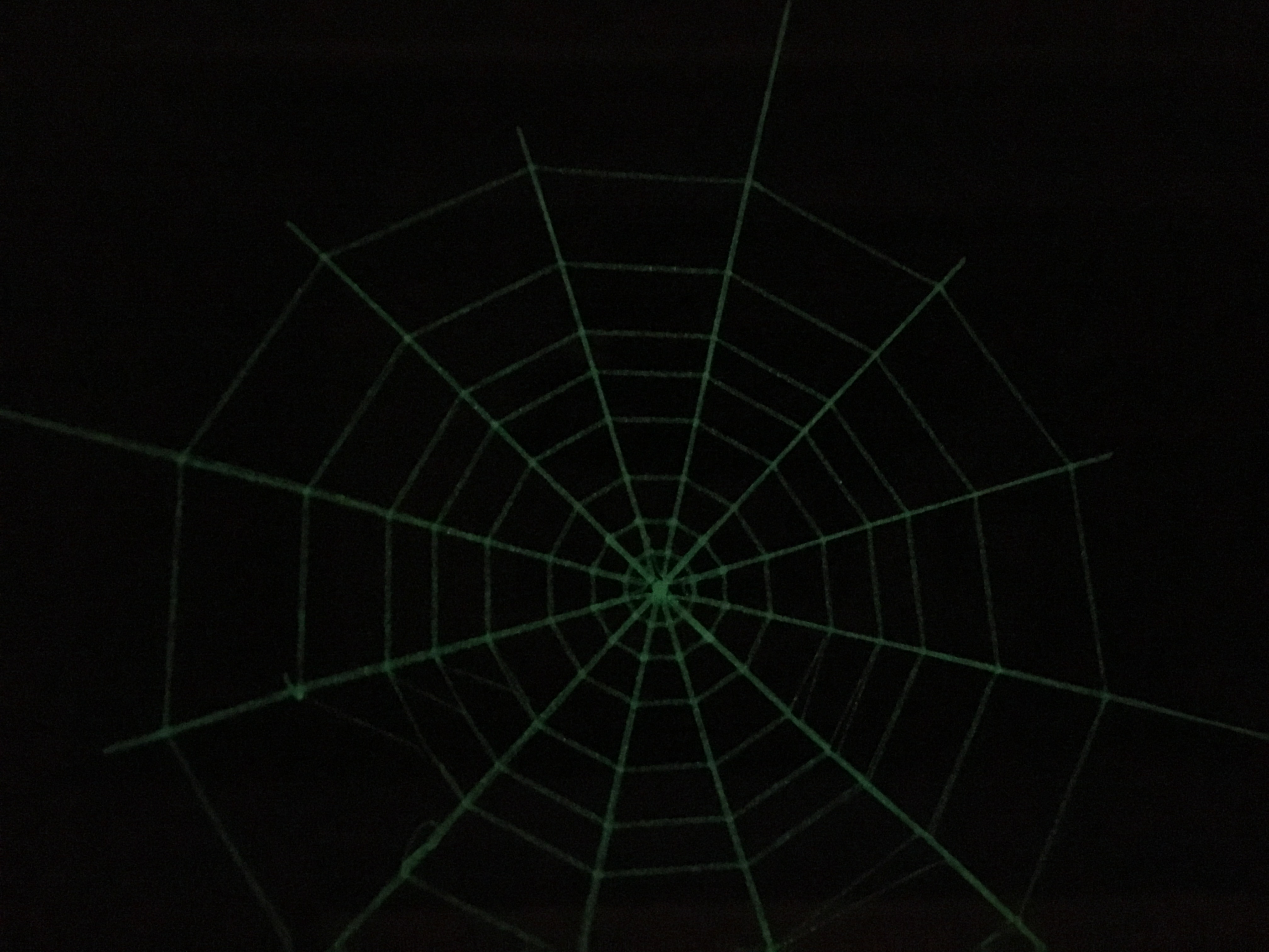 Realistic spider web by Thaxarth | Download free STL model | Printables.com