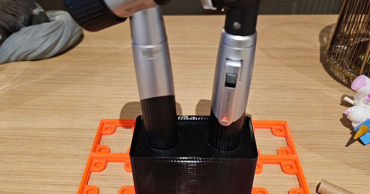 Gridfinity 2x Heine mini 3000 base (e.g. dermatoscope or otoscope) by ...