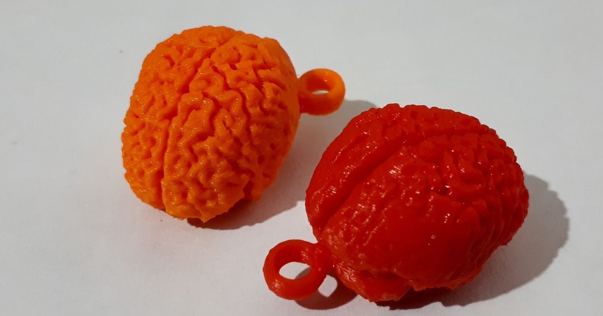 Brain keychain por fabio | Descargar modelo STL gratuito | Printables.com