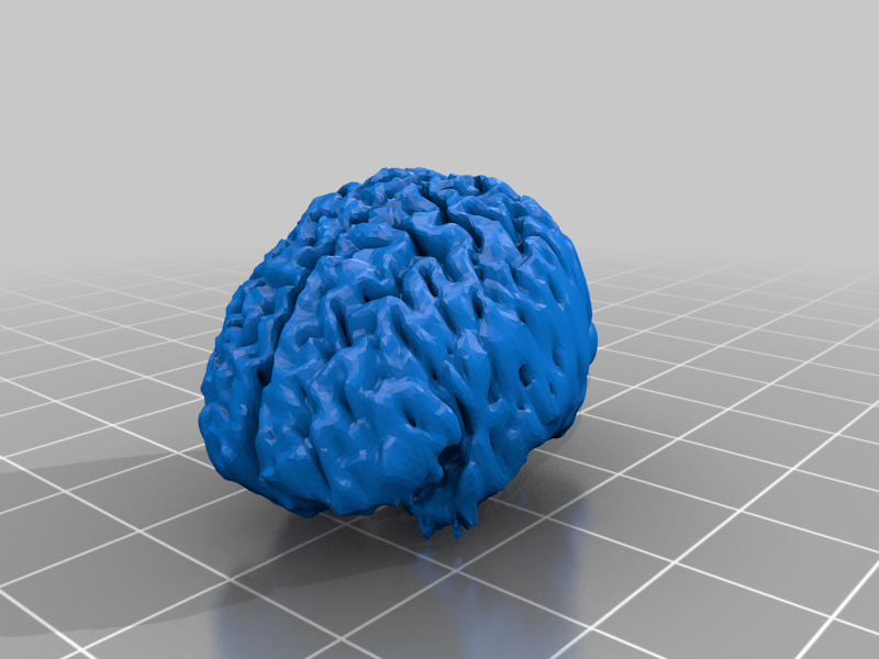 Brain keychain por fabio | Descargar modelo STL gratuito | Printables.com