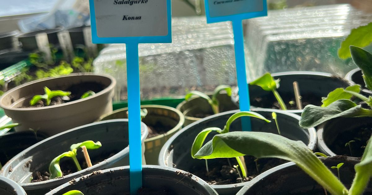 Planzenschild by michael perner | Download free STL model | Printables.com