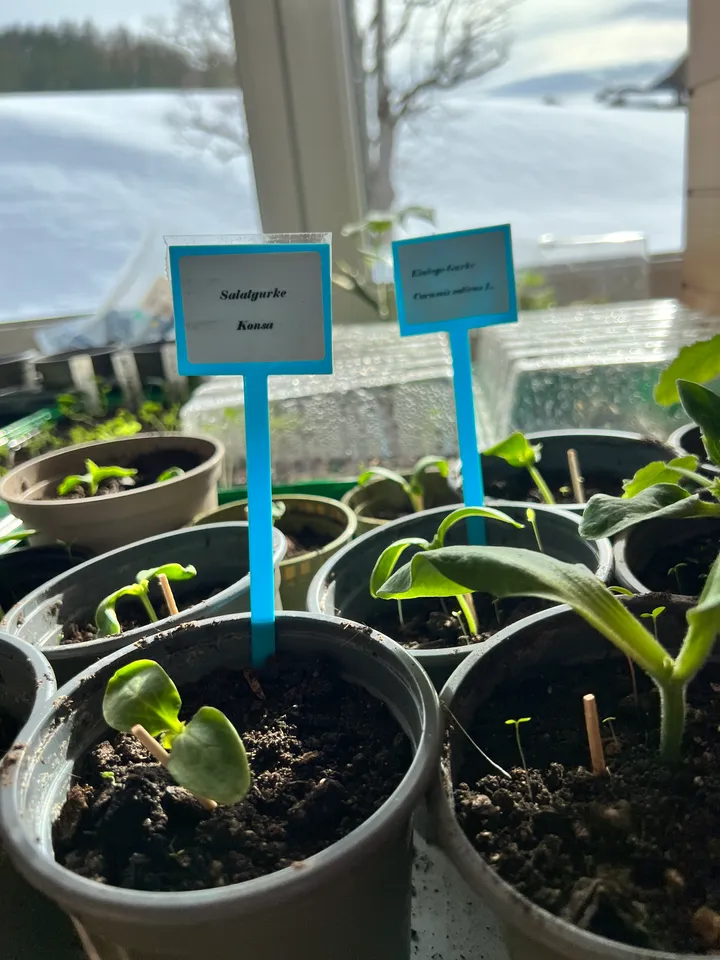 Planzenschild by michael perner | Download free STL model | Printables.com