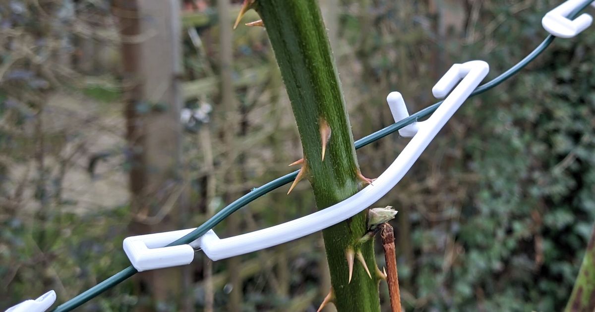 Trellis Clip for Orchards or Vineyards by buchnema | Download free STL ...