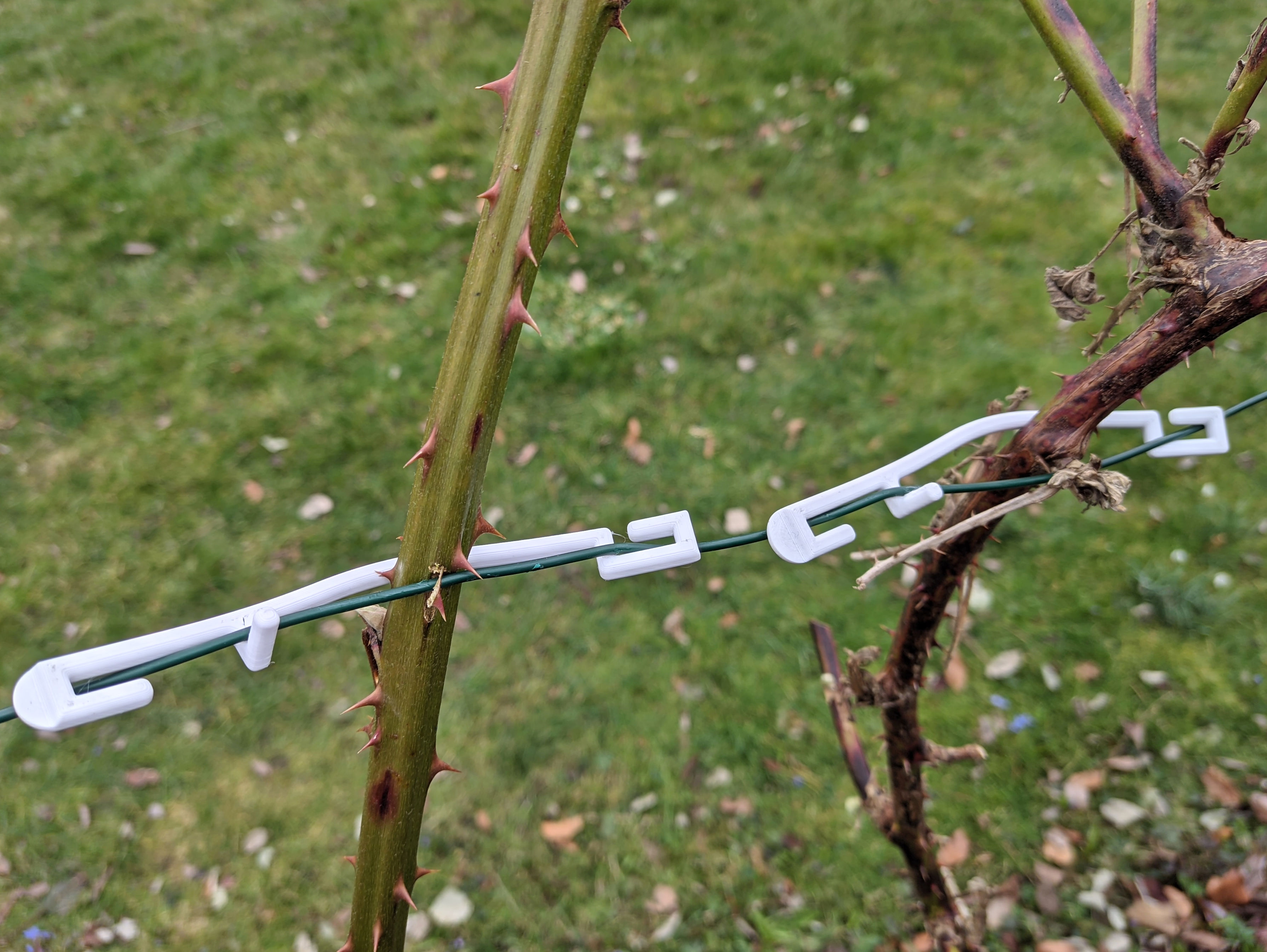 Trellis Clip for Orchards or Vineyards by buchnema | Download free STL ...