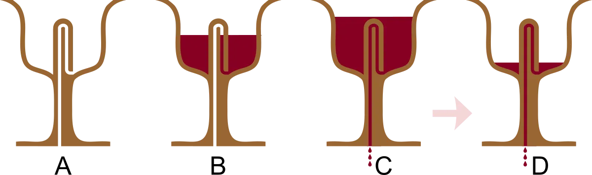 Pythagoras Cup Pythagorean Cup From Ancient Greece Pranks Greedy