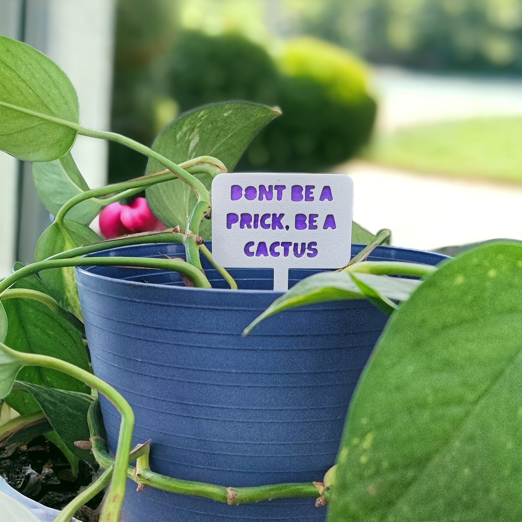 Plant Signs by Ascended Forge | Download free STL model | Printables.com