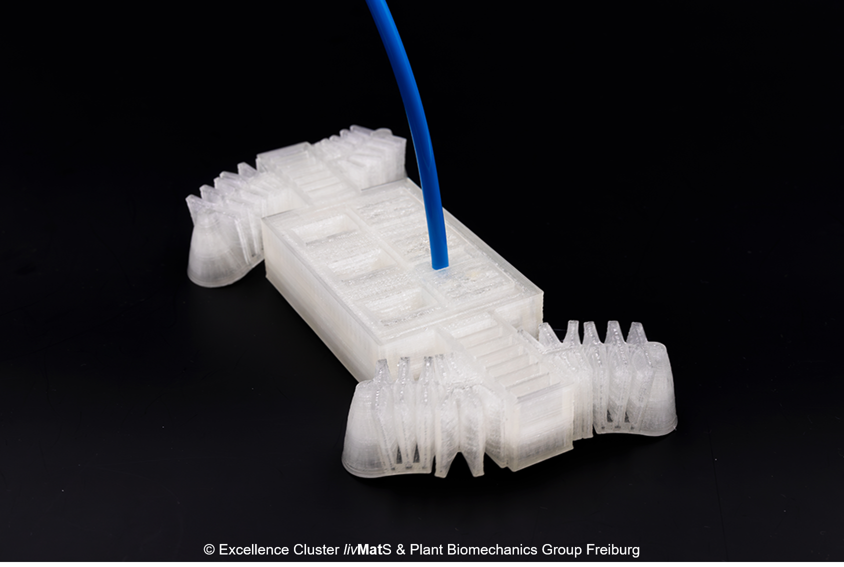 livMatS Turtle Walker - fully integrated bioinspired soft robot by Falk ...