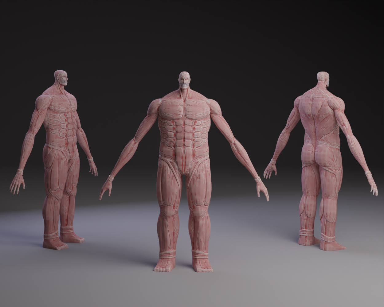 Colossal Titan by Peter Farell | Printables Store