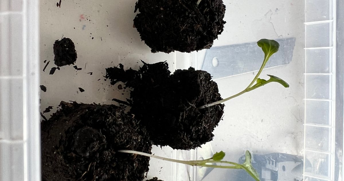 Pflanzballenpresse /Plant baler by michael perner | Download free STL ...