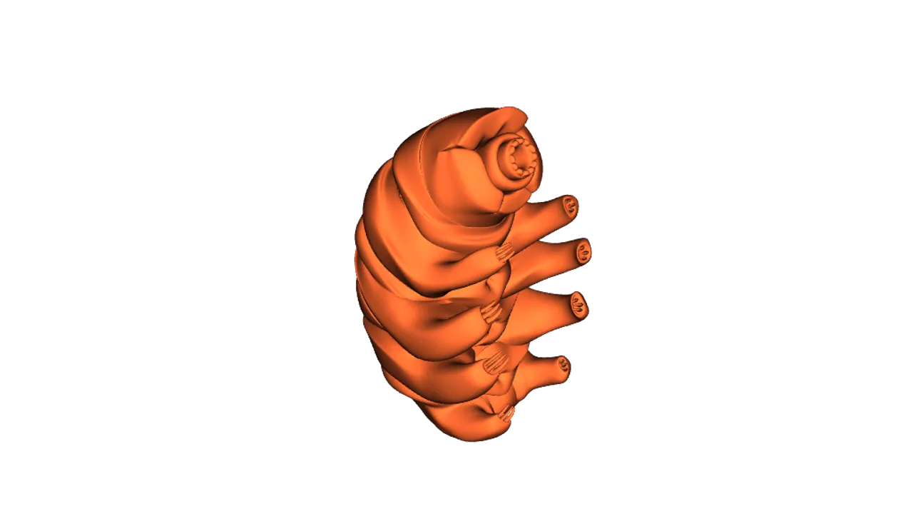 Tardigrade - a little water bear by Pavel | Download free STL model ...