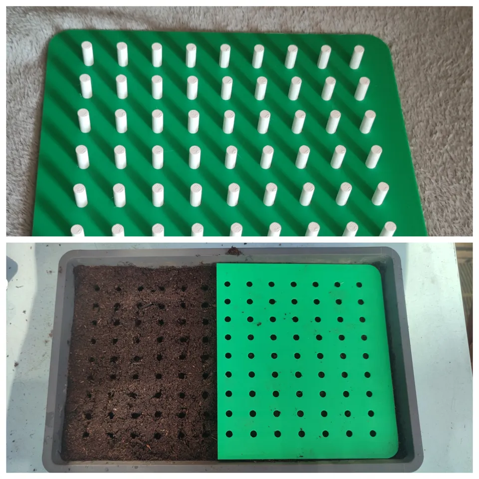 Planting Seeds Template