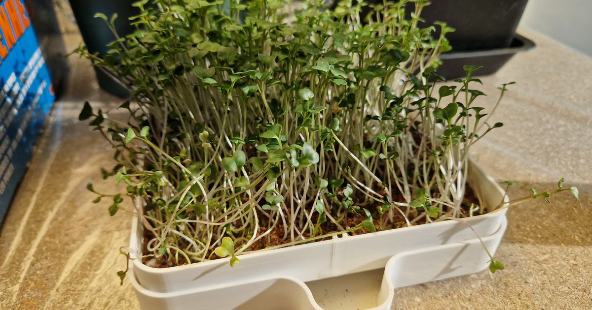 Microgreens sprouting tray by BiTN | Download free STL model ...