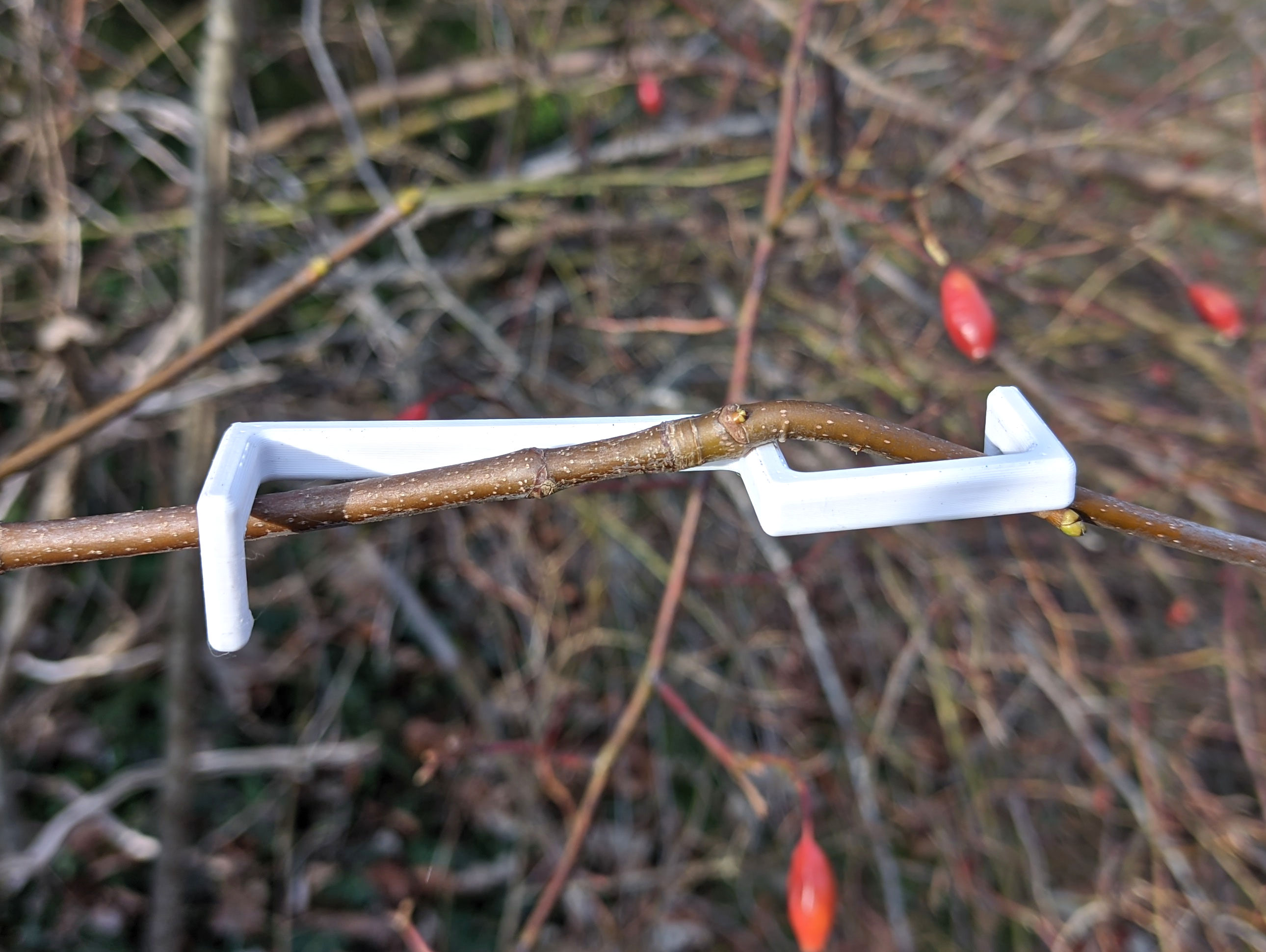 Branch Training Clip by buchnema | Download free STL model | Printables.com