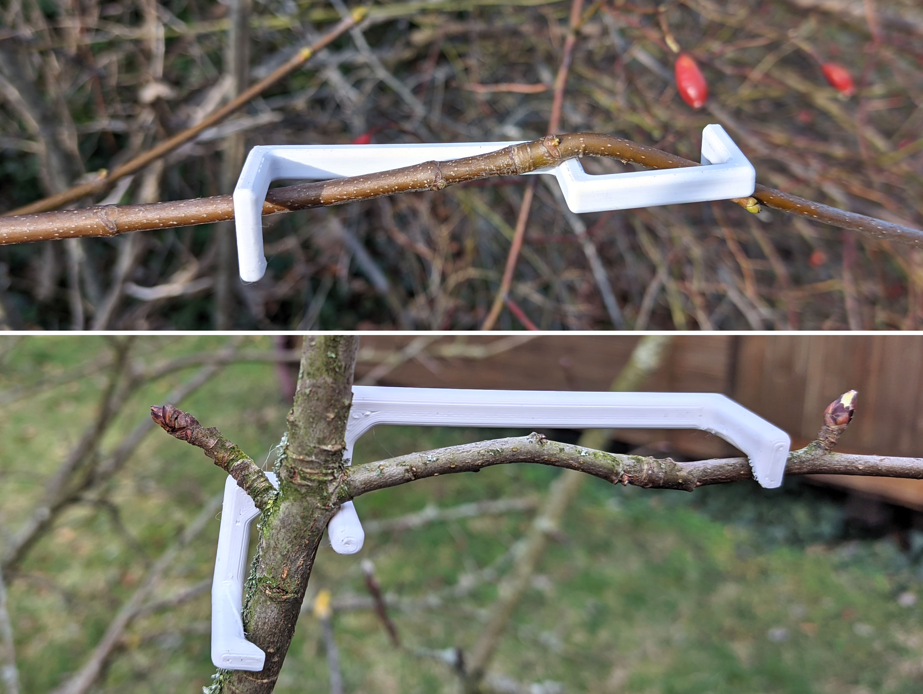 Branch Training Clip by buchnema | Download free STL model | Printables.com