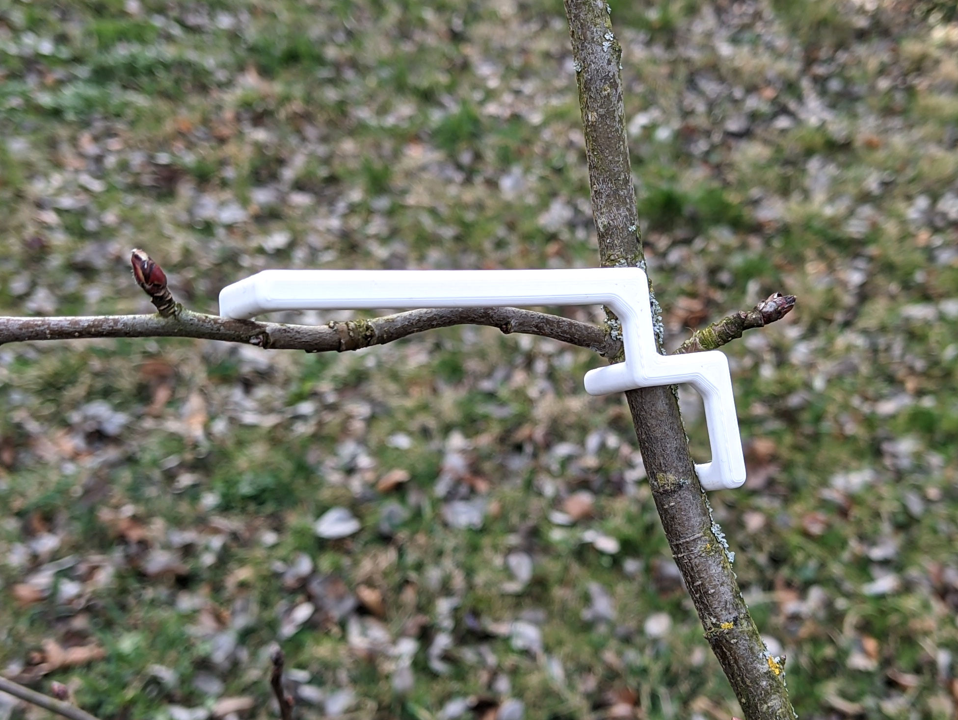 Branch Training Clip by buchnema | Download free STL model | Printables.com