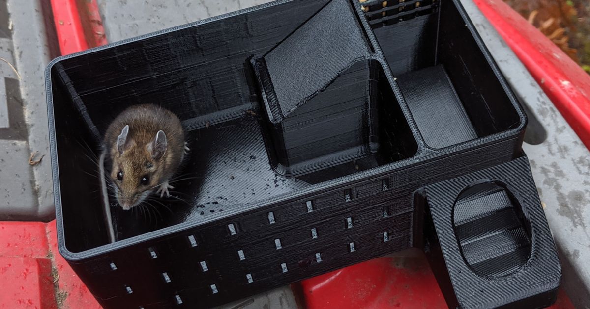 Multi catch mouse live trap by Matthew Ray | Download free STL model ...
