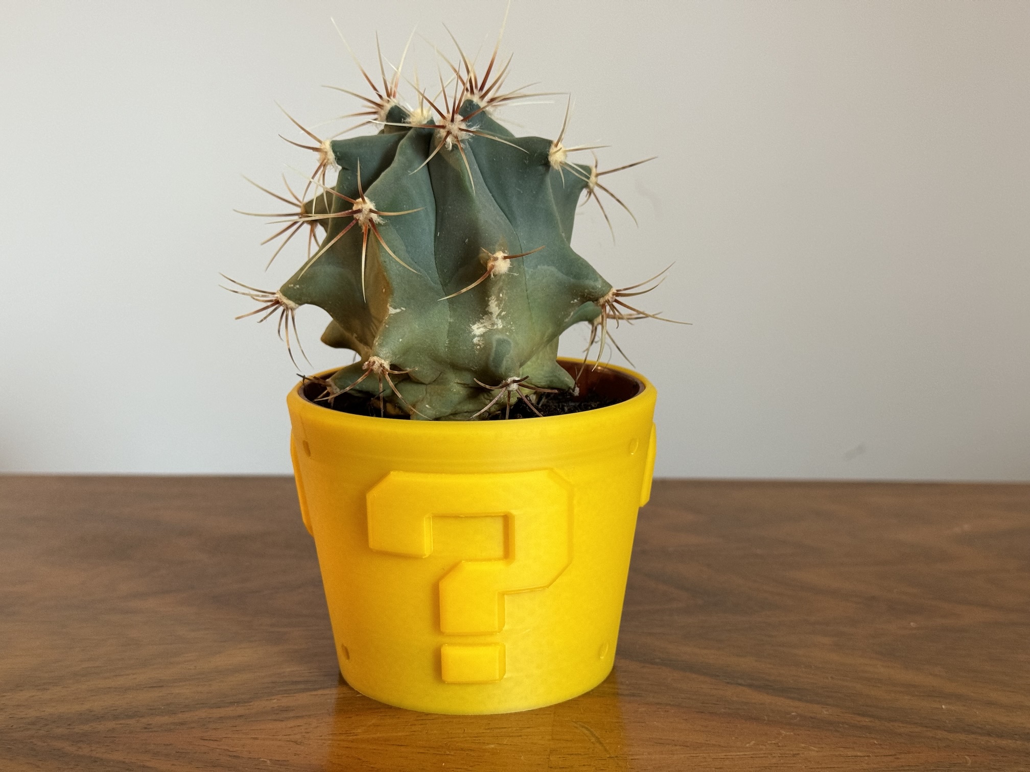 Super Mario Cactus pot by louisdedecker | Download free STL model ...