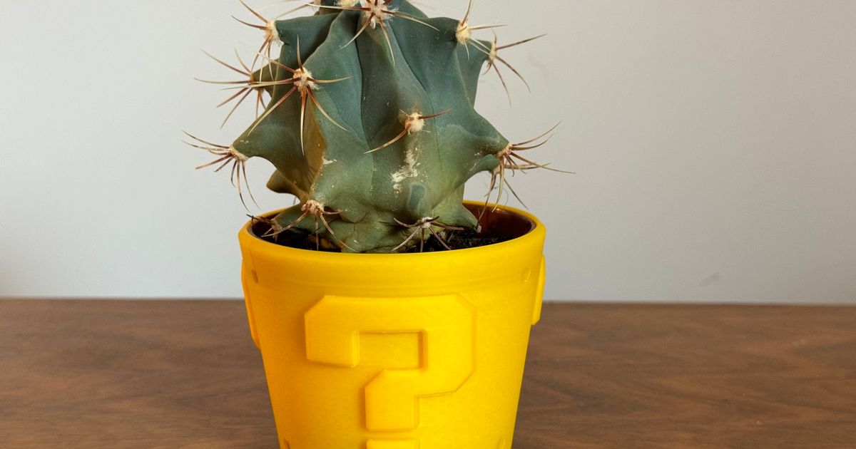 Super Mario Cactus pot Remixed by quinc3y - MakerWorld