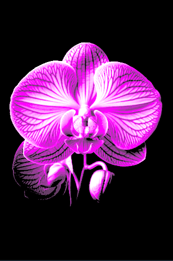 Sweet Orchidea "Filament Painting" by Printmajstr | Download free STL ...