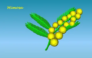 Mimosa Flower by Alessio_3D | Download free STL model | Printables.com
