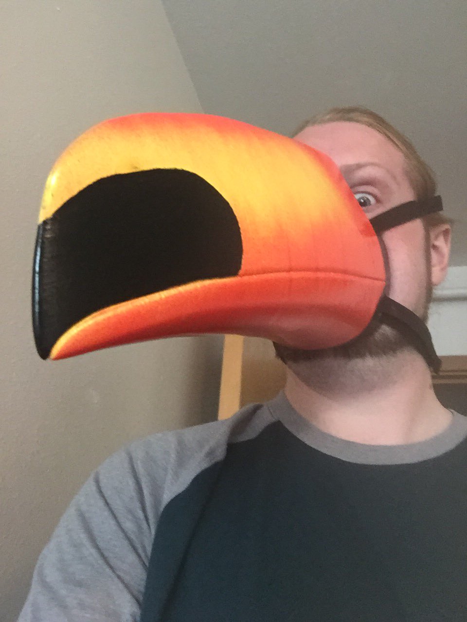 Toucan beak mask by Hoofburd | Download free STL model | Printables.com