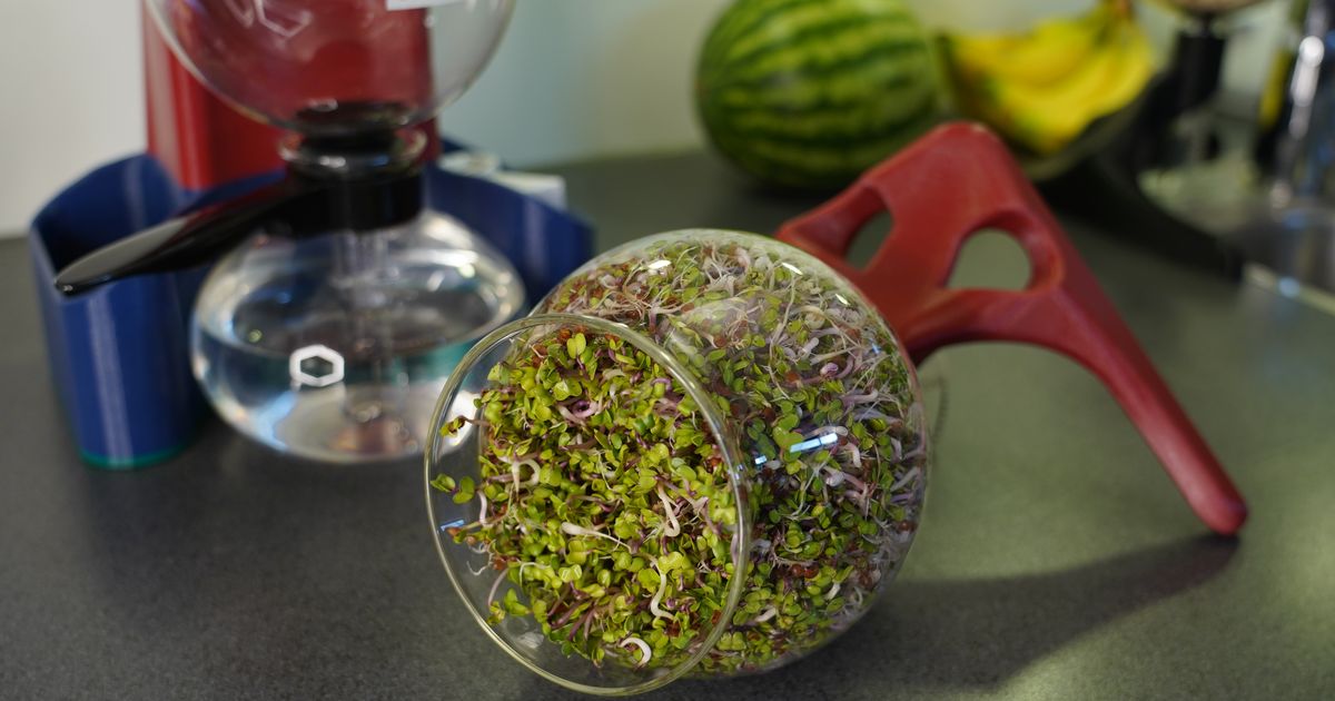 grow fresh sprouts with a coffee maker modification by Matthias Kampa ...