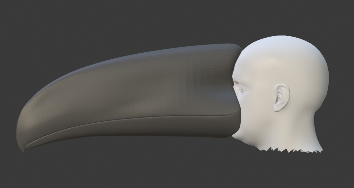 Toucan beak mask XL by Hoofburd | Download free STL model | Printables.com