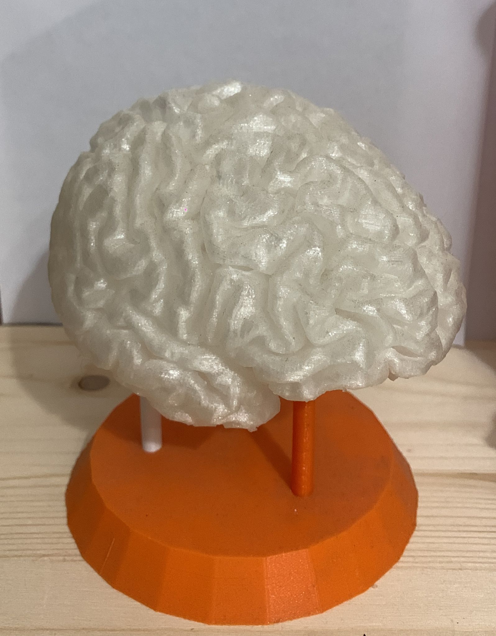 brain with stand by Luigi Ragozzino | Download free STL model ...