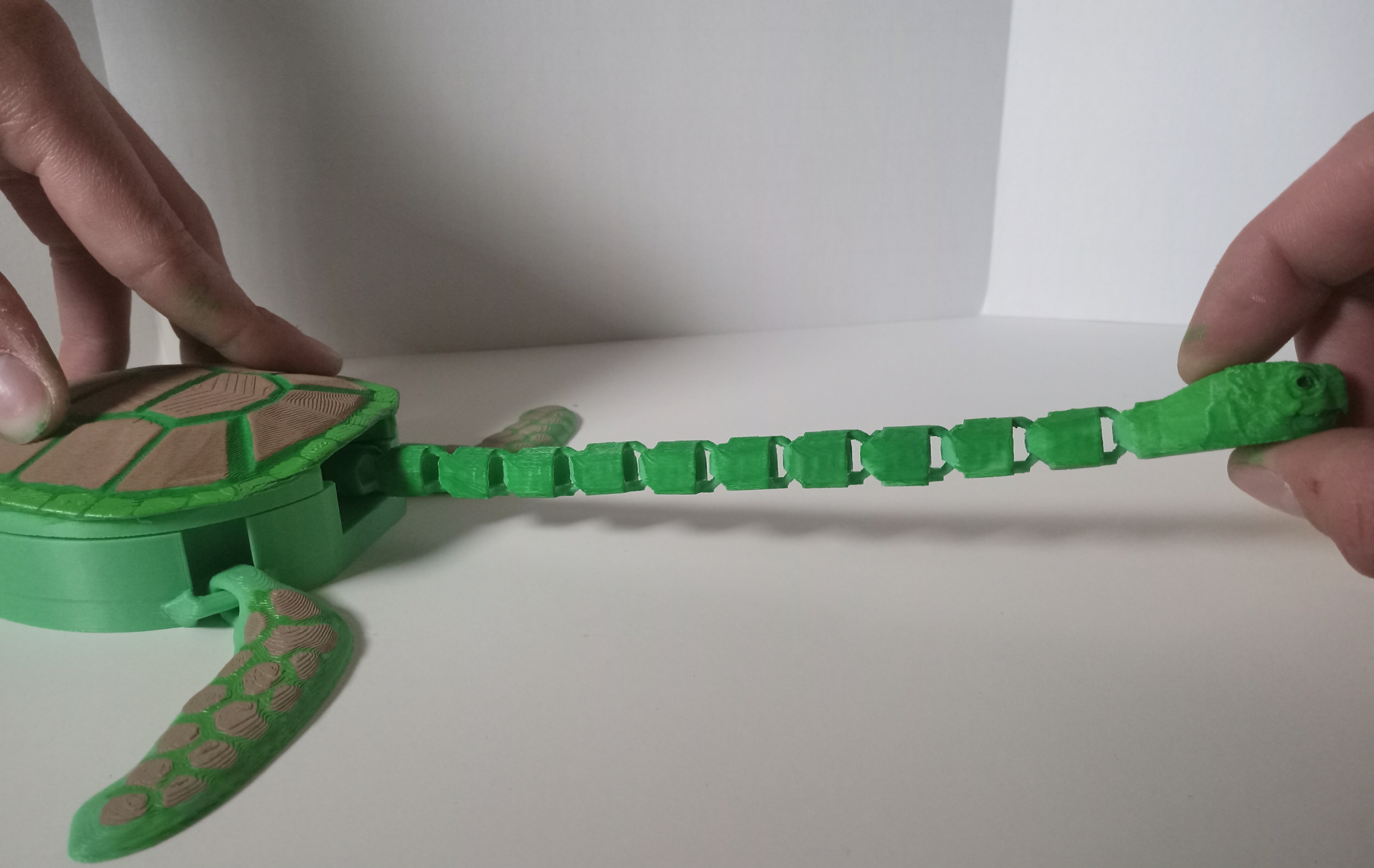 Yurtle The Long Necked Turtle: Completely 3D printed! par udrek ...