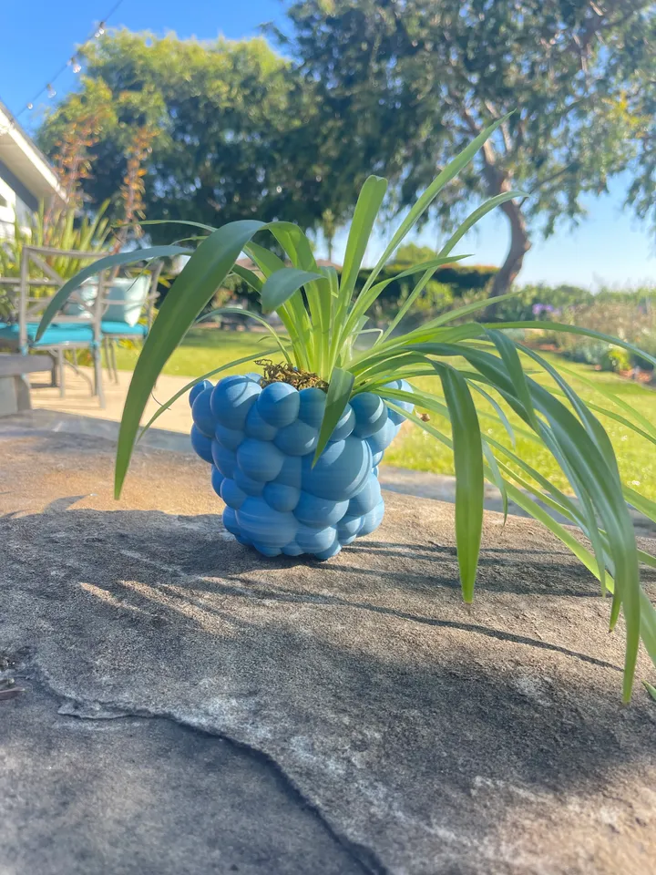 Bubble Pot by AllanHunter | Download free STL model | Printables.com